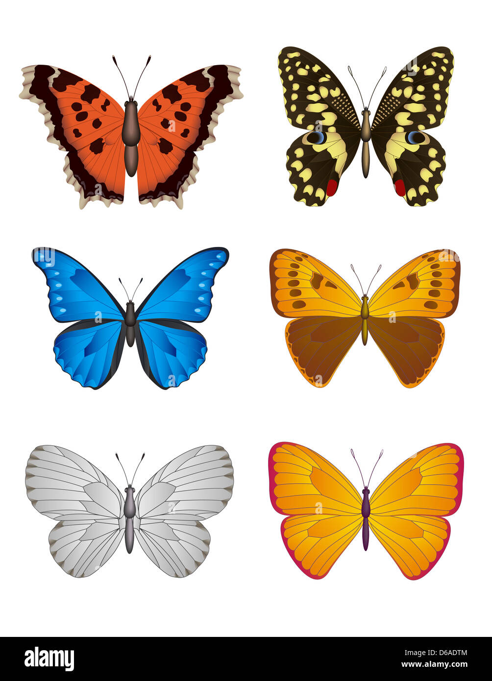 Set of Butterfly, Vector Illustration Stock Photo - Alamy