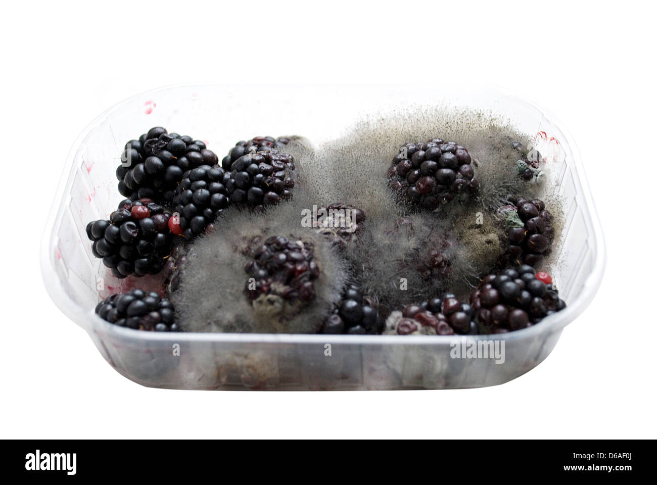 Rotten berry hi-res stock photography and images - Alamy