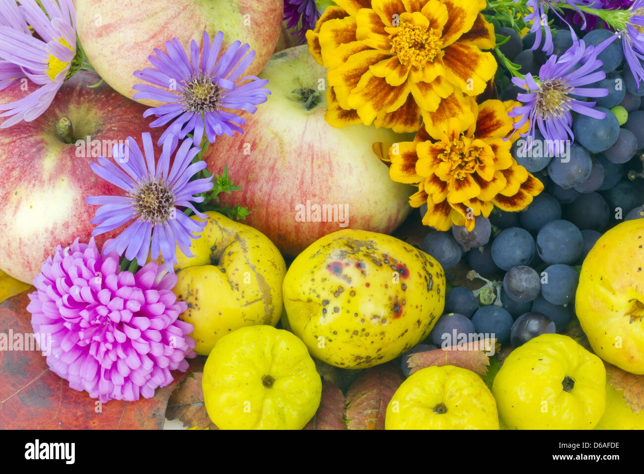 Real gold apple hi-res stock photography and images - Alamy