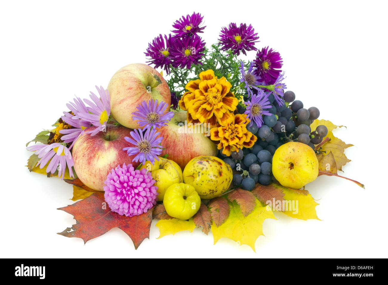 Autumn still-life composition Stock Photo - Alamy