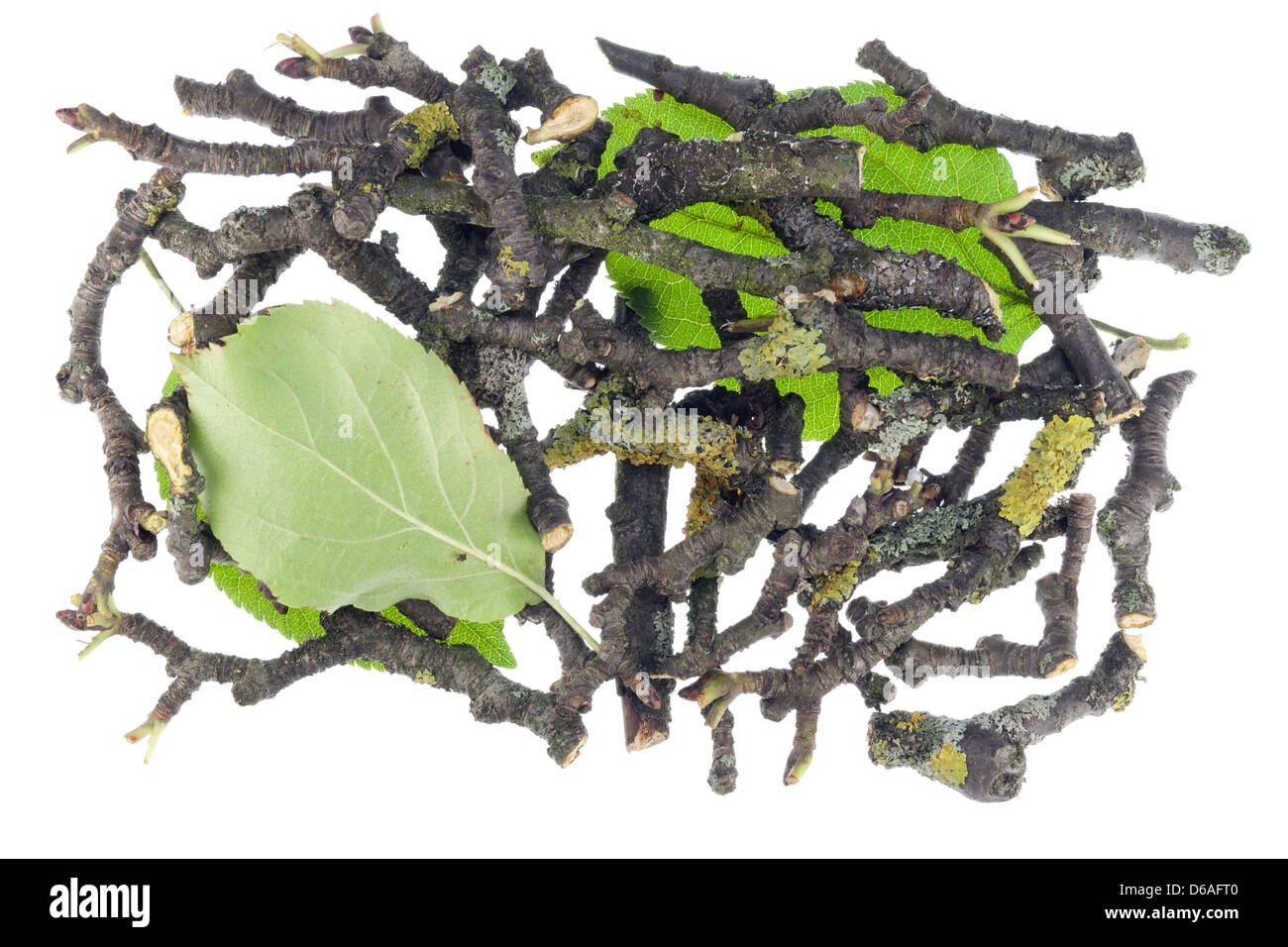 Turd Cut Out Stock Images & Pictures - Alamy
