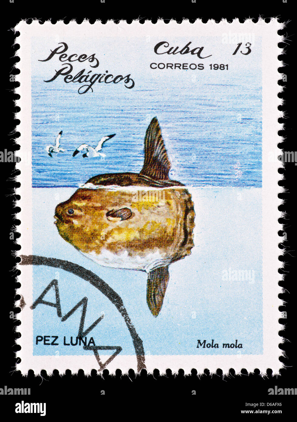 Postage stamp from Cuba depicting an ocean sunfish (Mola mola Stock ...