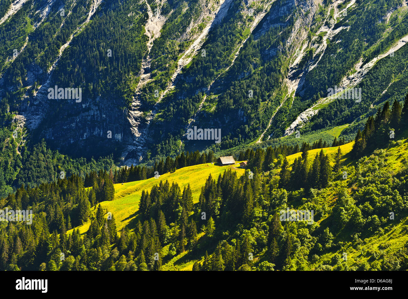 Bavarian alps and pasture hi-res stock photography and images - Alamy