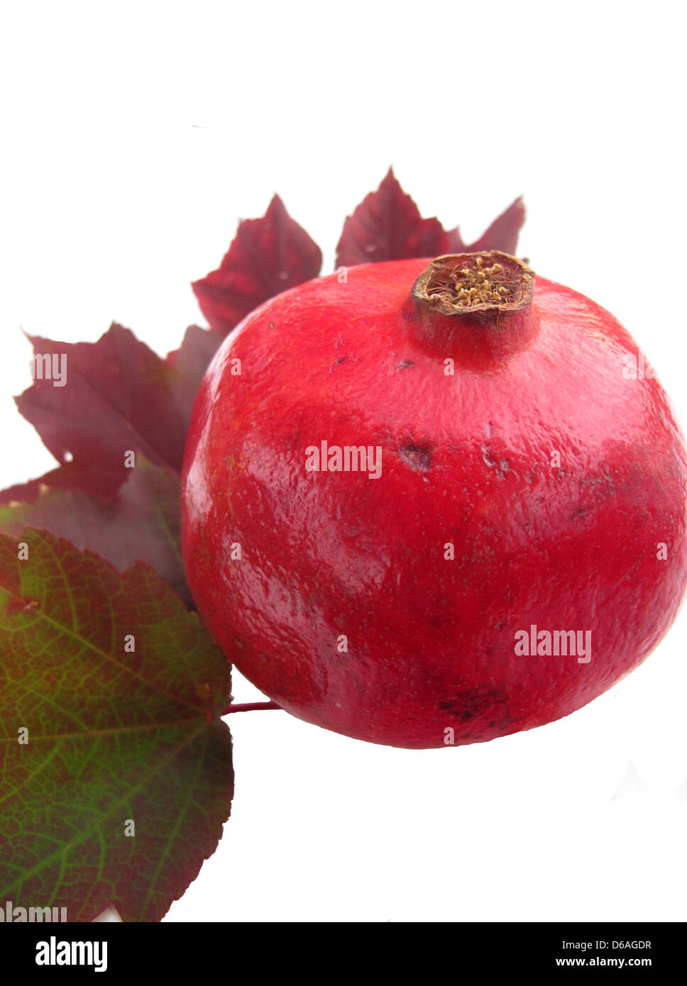 Single pomegranate isolated on a white background with leaves Stock ...