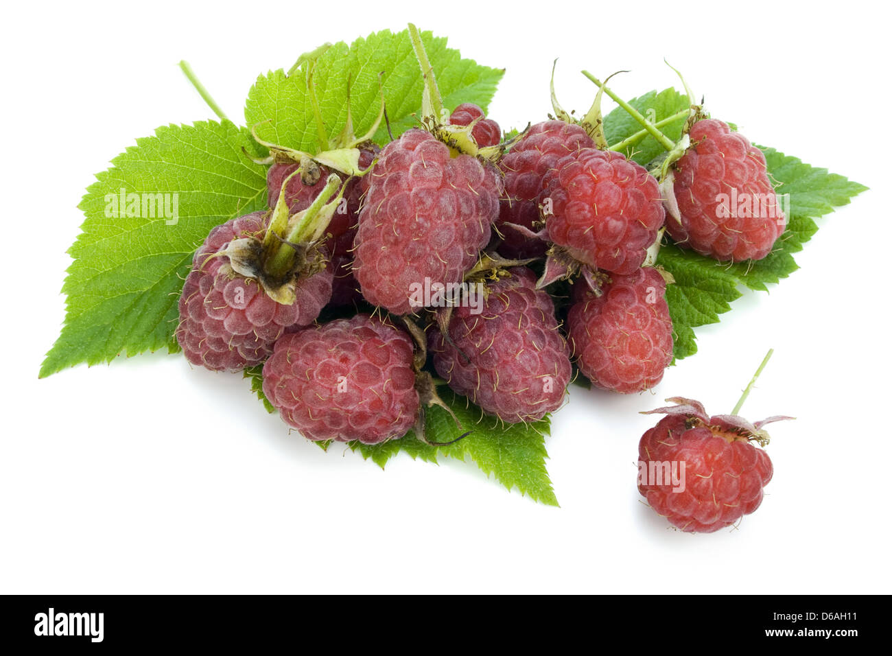 Raspberry seed hi-res stock photography and images - Alamy