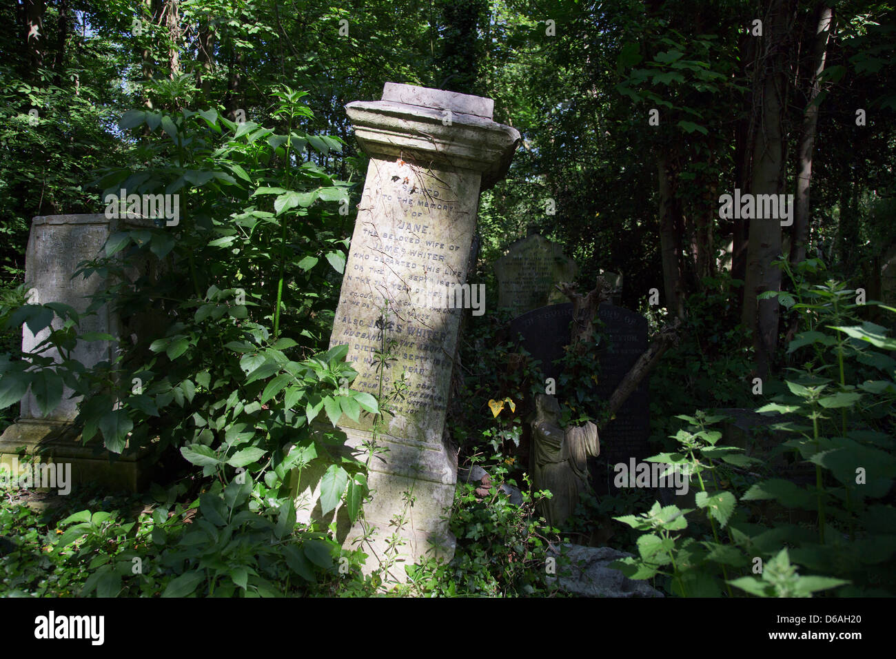Abney park london cemetery hi-res stock photography and images - Alamy