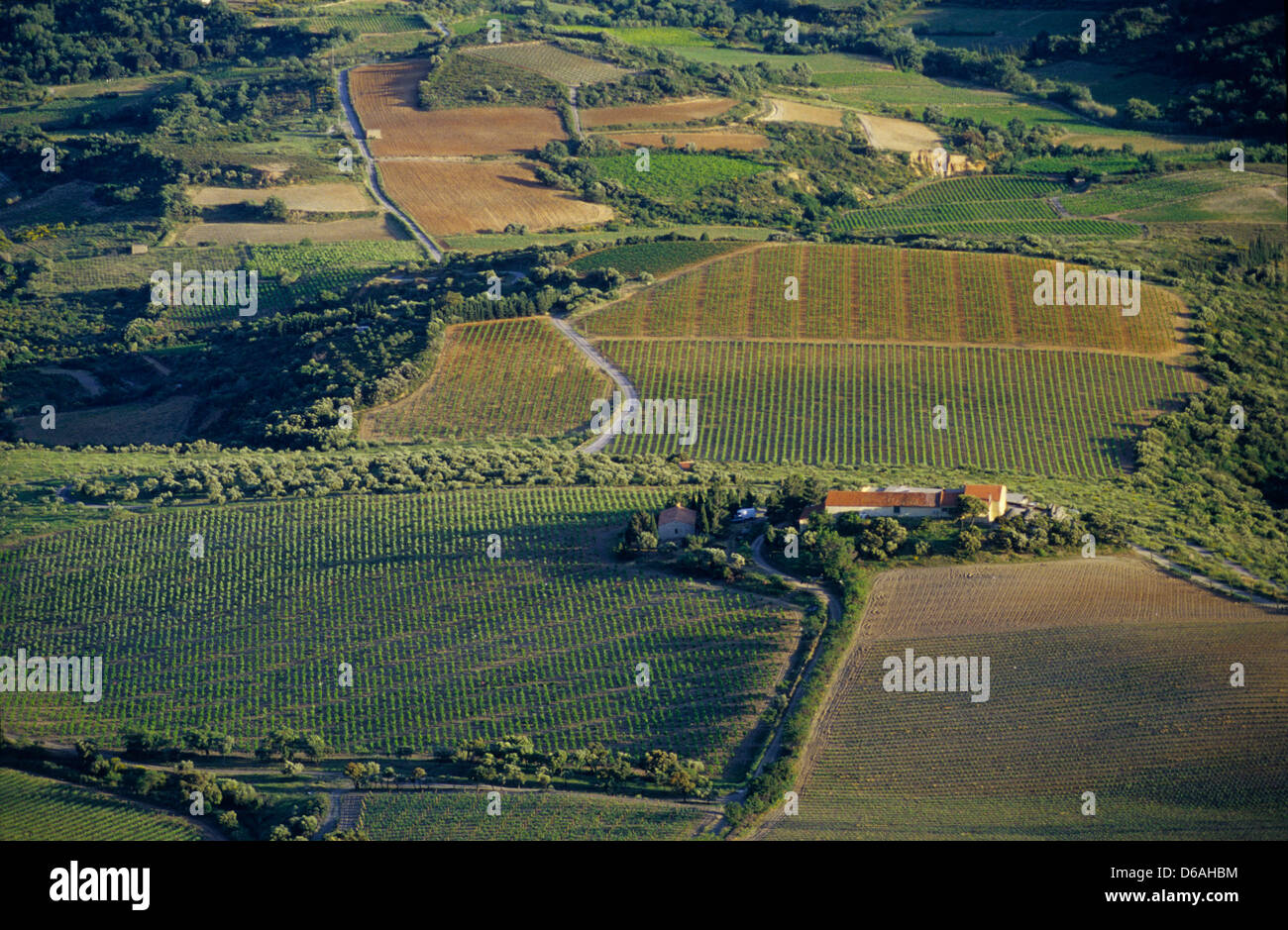 Vineyard Domaine Força Réal, Mas Garrigue, viewed from Força Réal ...