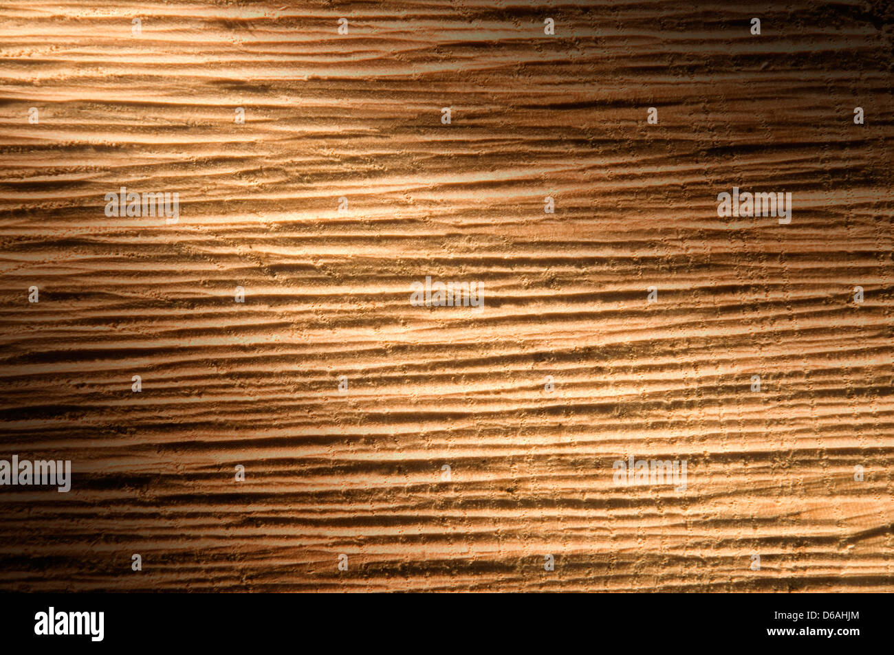 Texture of Rough-Cut Timber Wood Lit Diagonally Stock Photo - Alamy