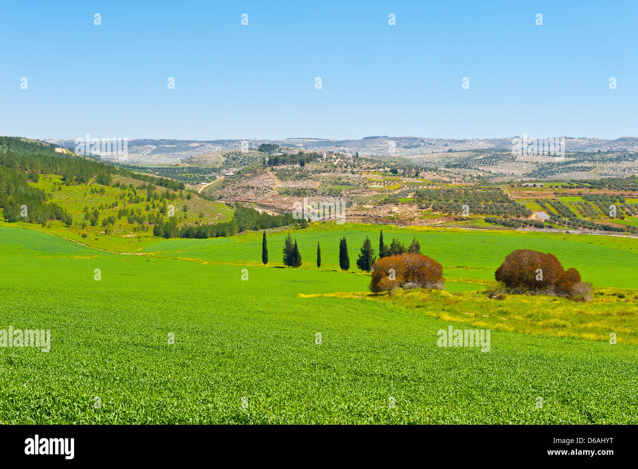 Israel landscape hi-res stock photography and images - Alamy
