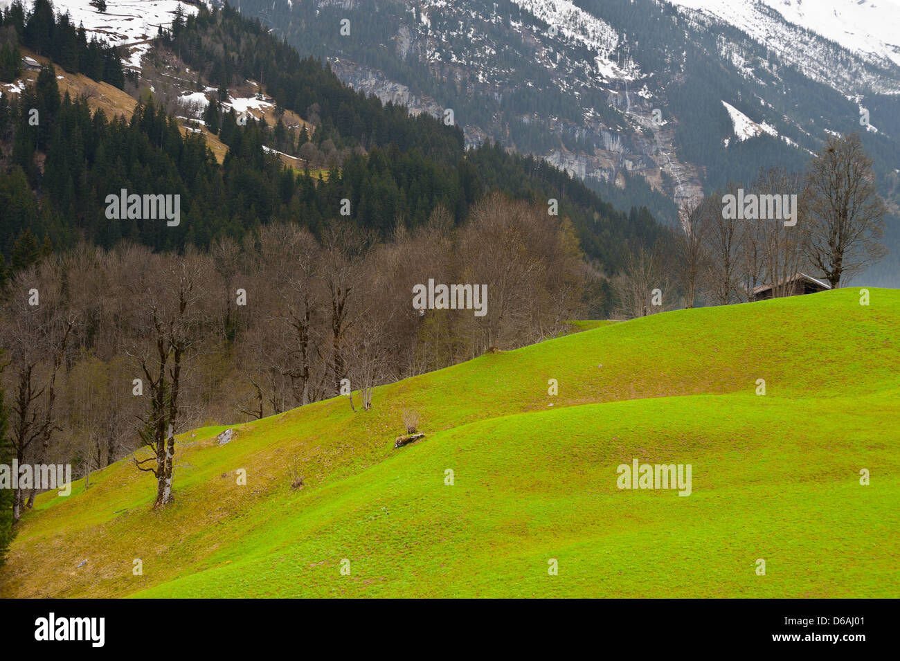 Swiss alps highlands hi-res stock photography and images - Alamy