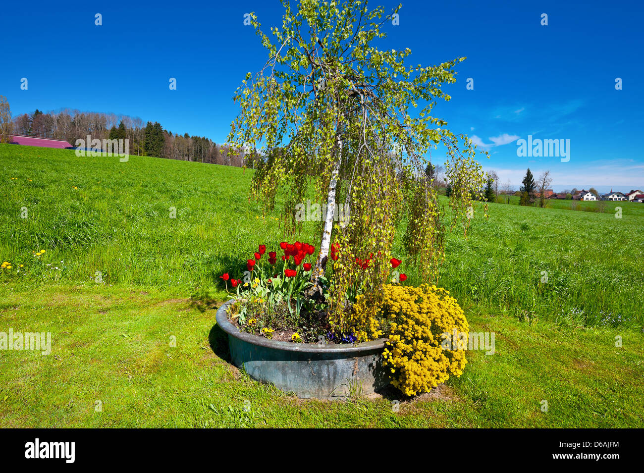 Birch hill house hi-res stock photography and images - Alamy