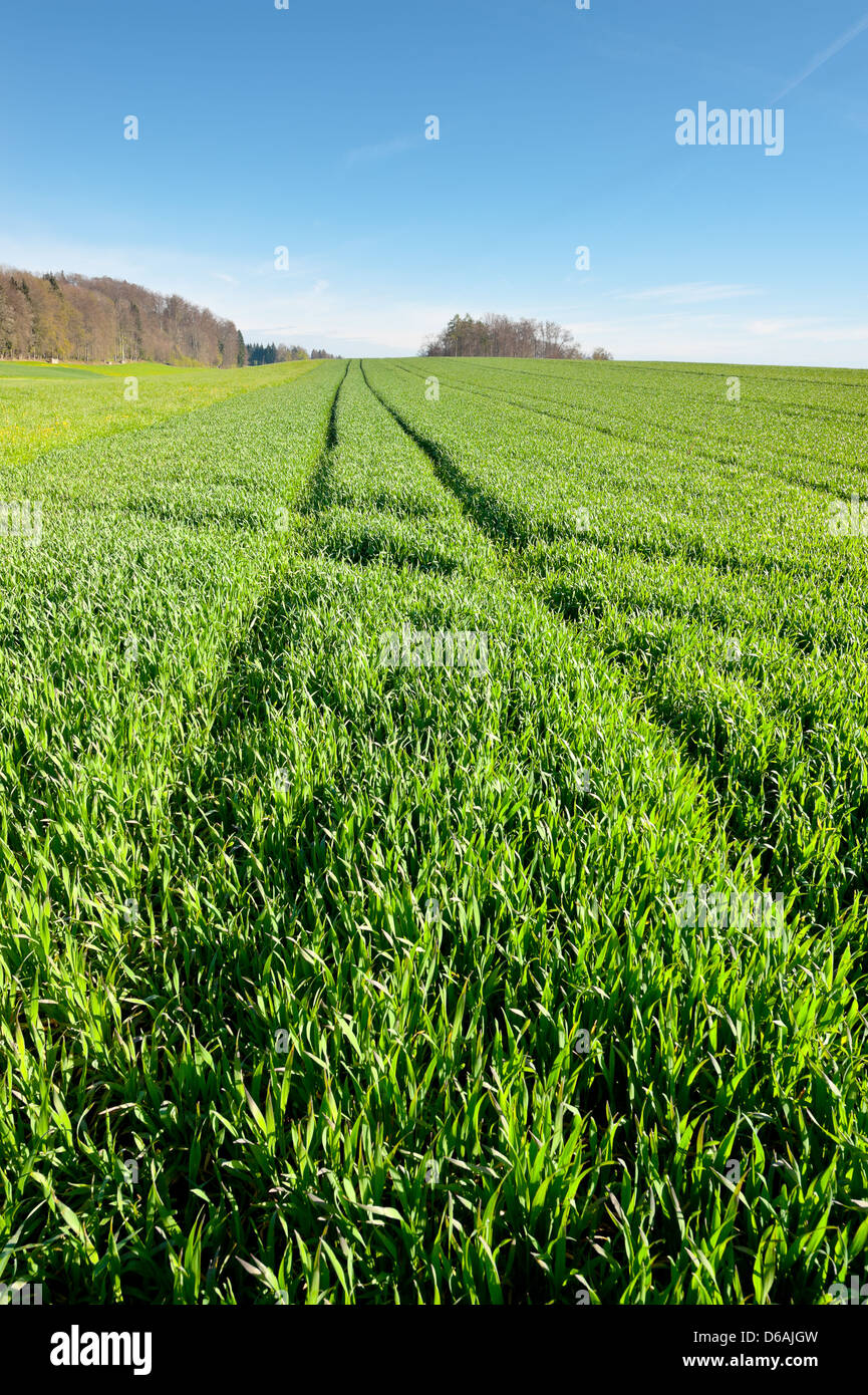 Shadow tractor hi-res stock photography and images - Alamy