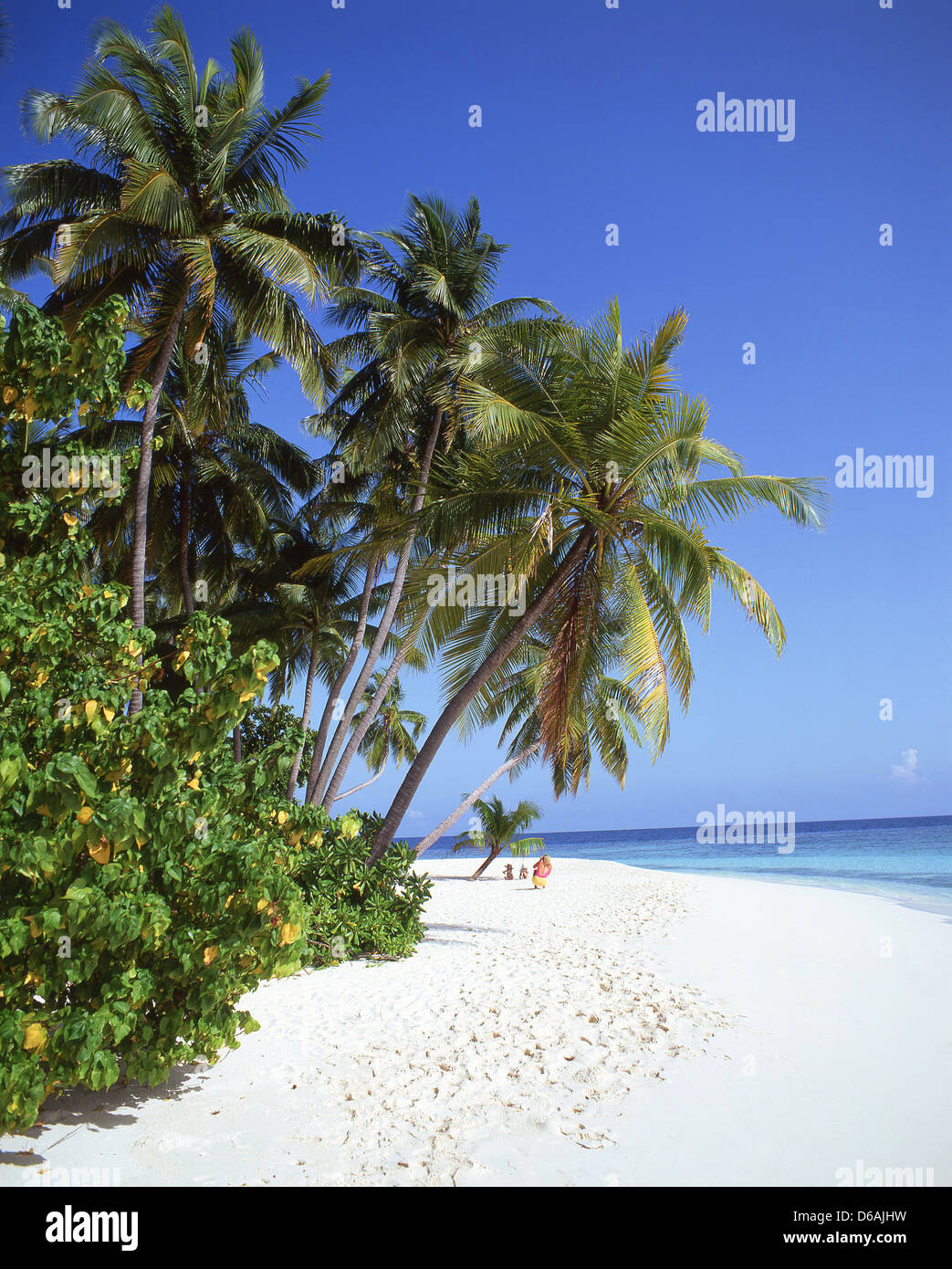 Tropical beach view, Kuda Bandos, Bandos Island, Kaafu Atoll, Republic ...