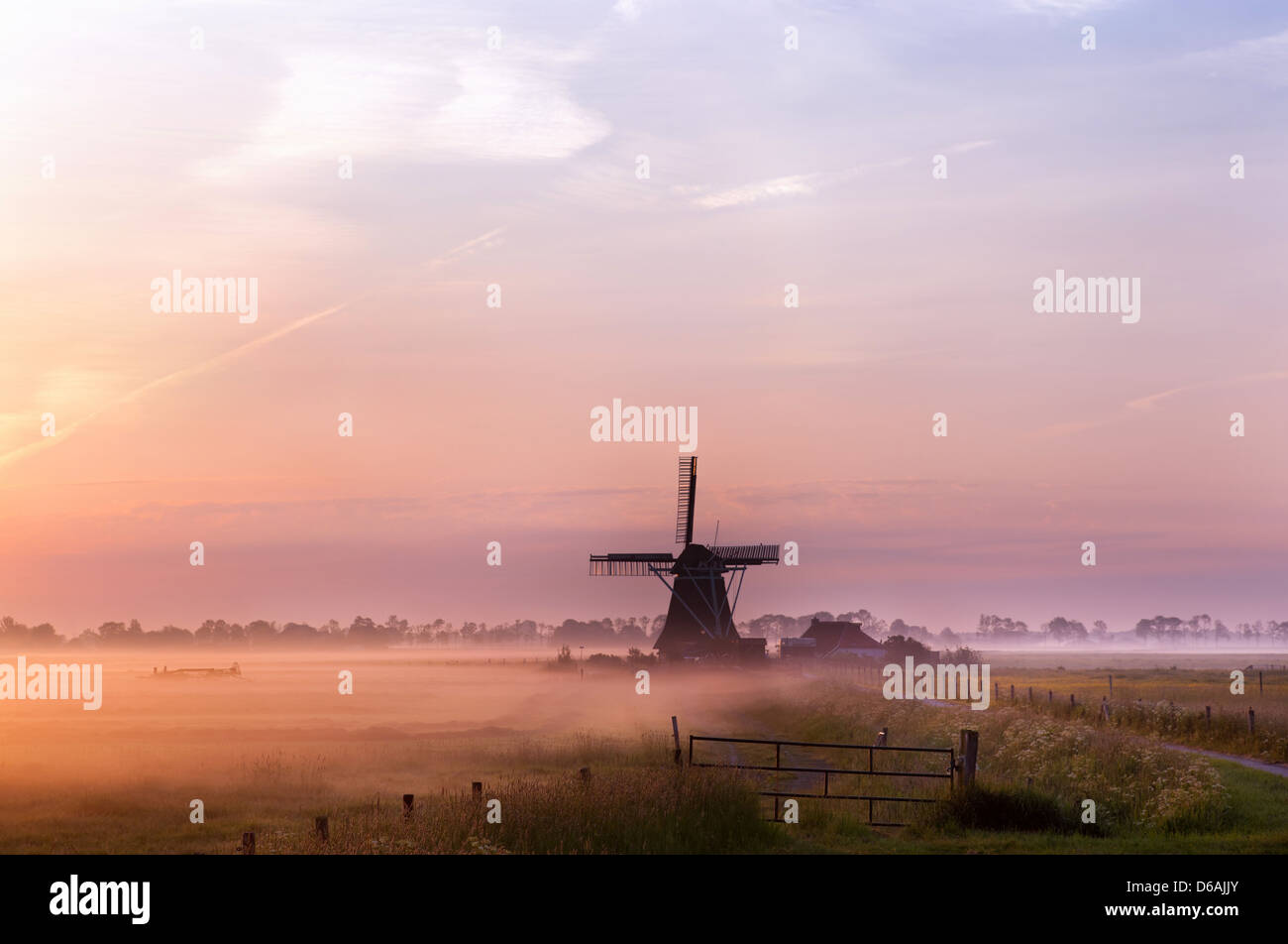Dutch windmill in fog in the early morning Stock Photo - Alamy