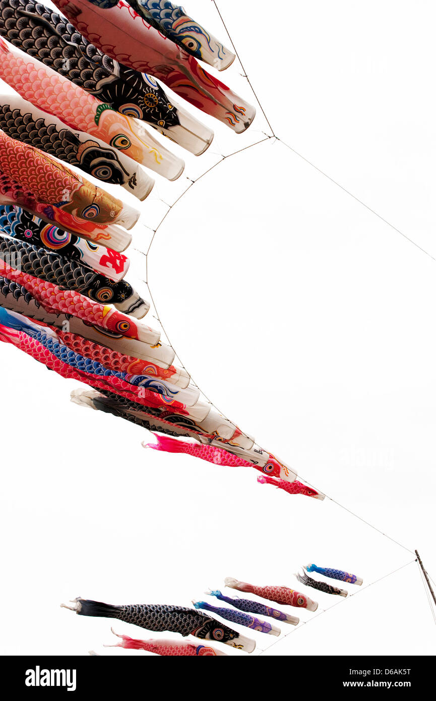 Koinobori (carp streamers) fly against a white backdrop for Children's ...