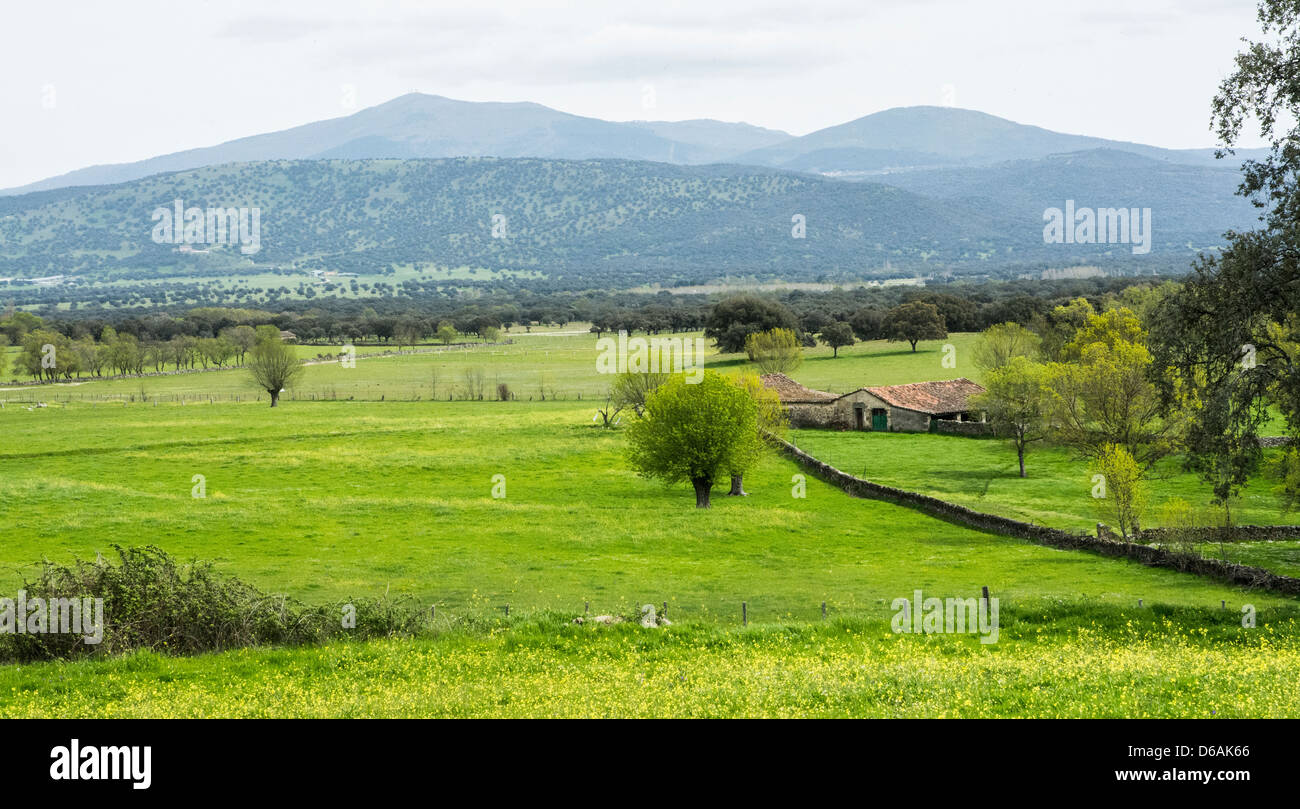 Prado verde hi-res stock photography and images - Alamy