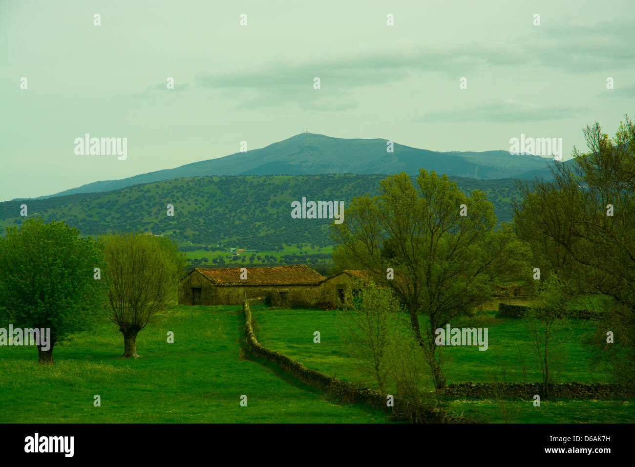 Prado verde hi-res stock photography and images - Alamy