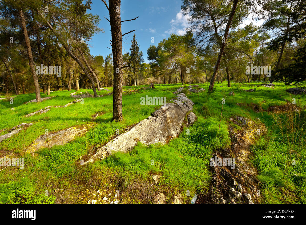 Israel in Spring Stock Photo - Alamy