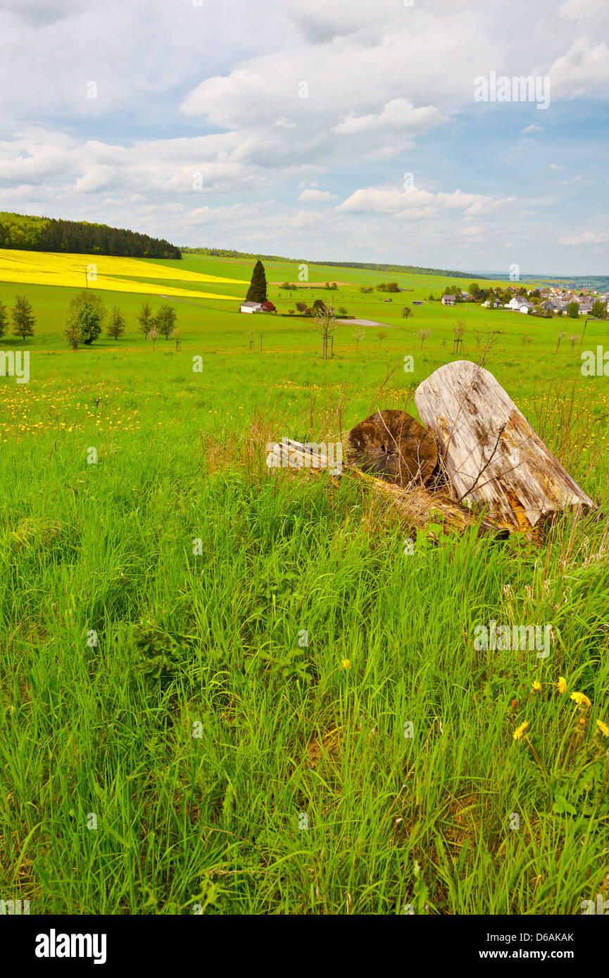 Pastoral pattern hi-res stock photography and images - Alamy