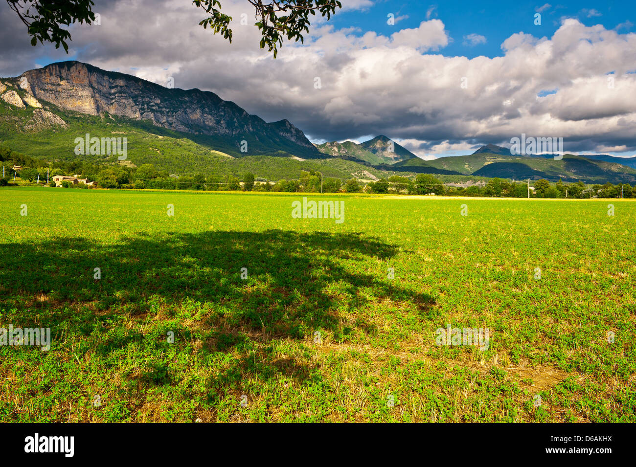 Corn field france path hi-res stock photography and images - Alamy