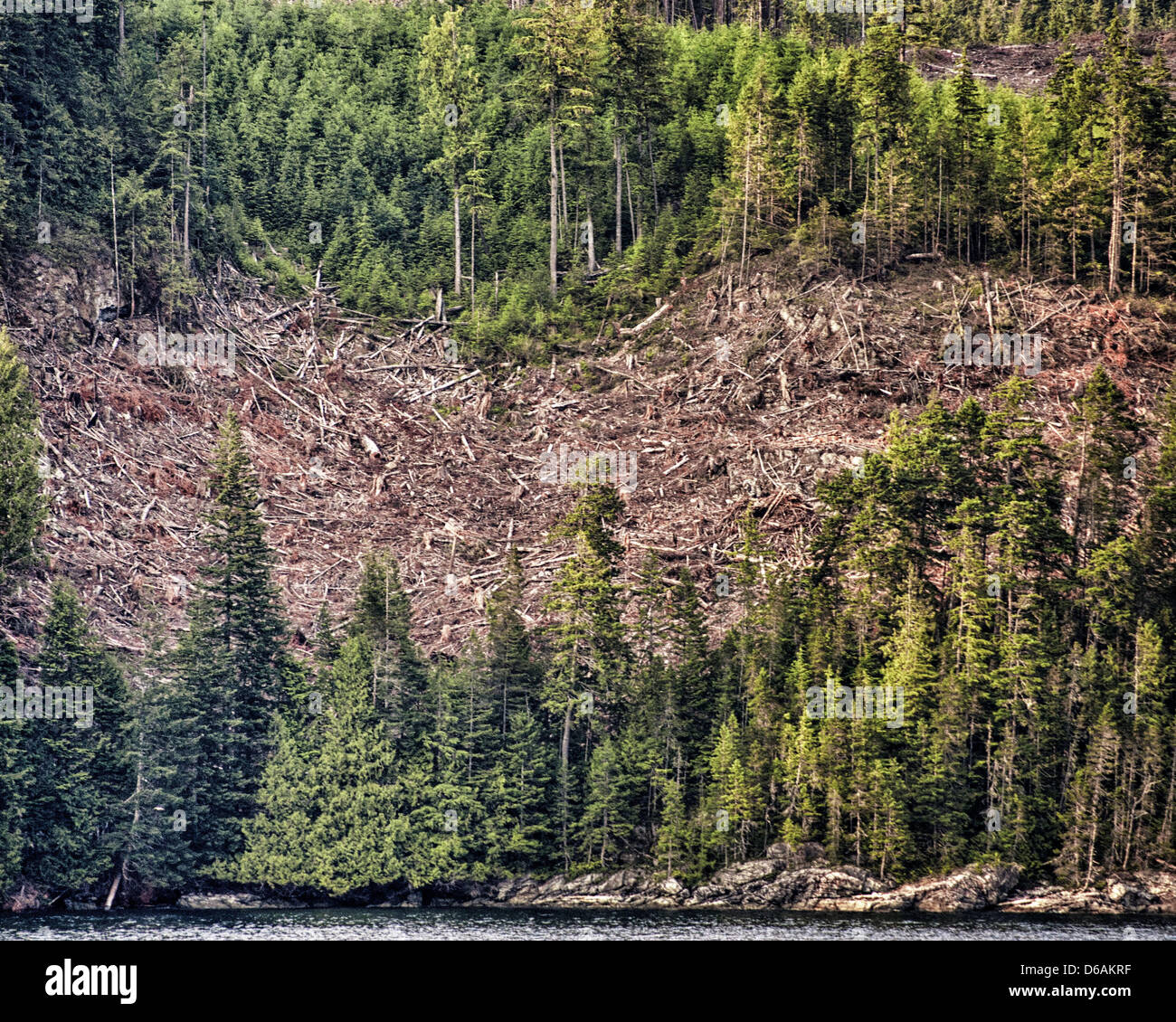 On passage in coastal trees hi-res stock photography and images - Alamy