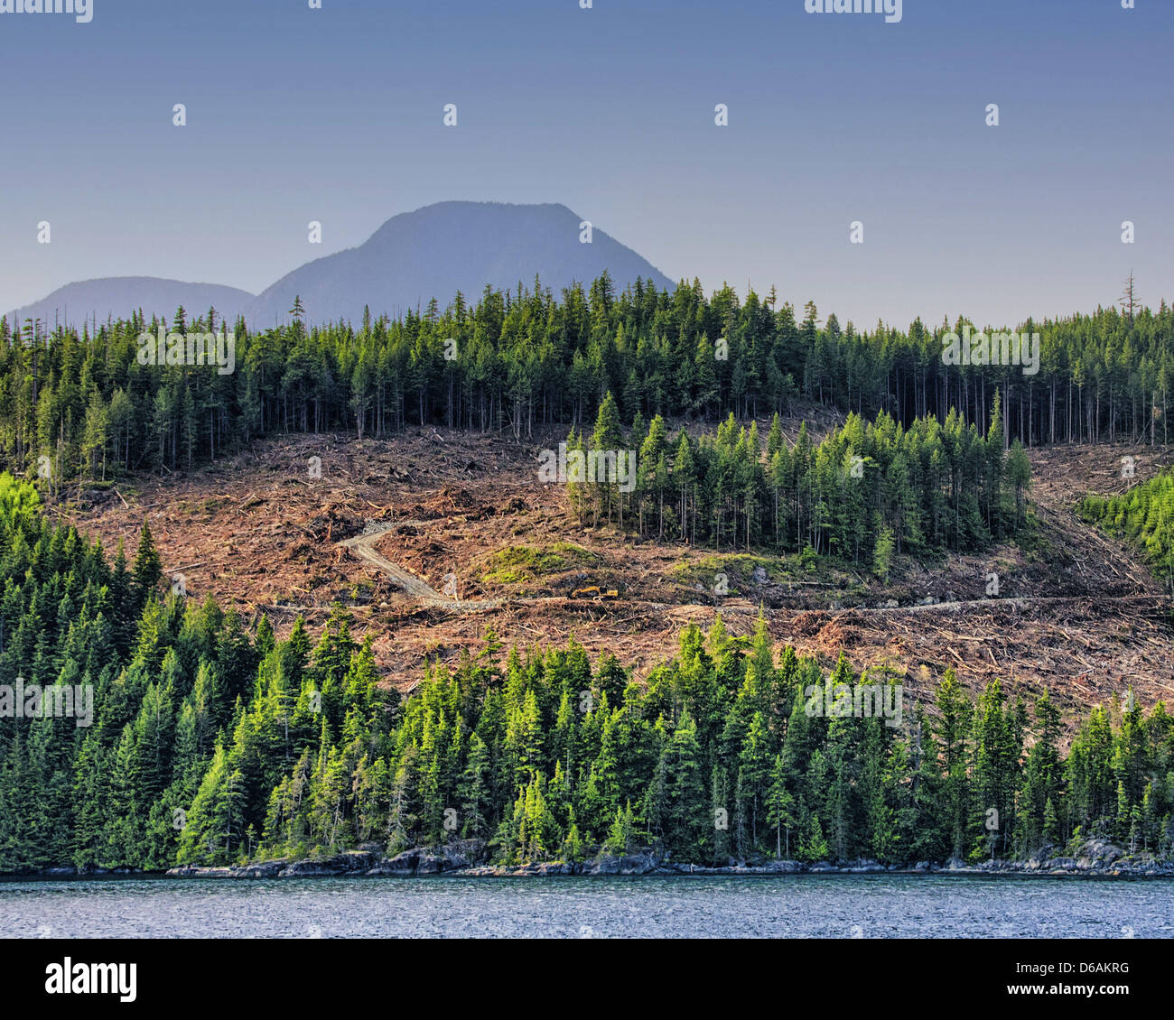 On passage in coastal trees hi-res stock photography and images - Alamy