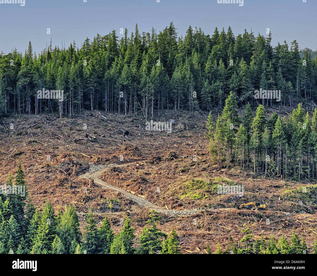 Economically profitable hi-res stock photography and images - Alamy