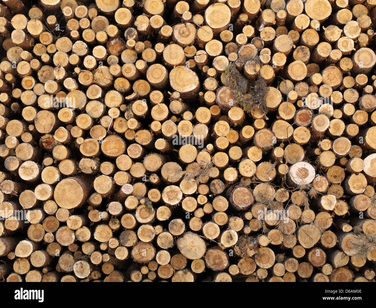 Supply cut out hi-res stock photography and images - Alamy