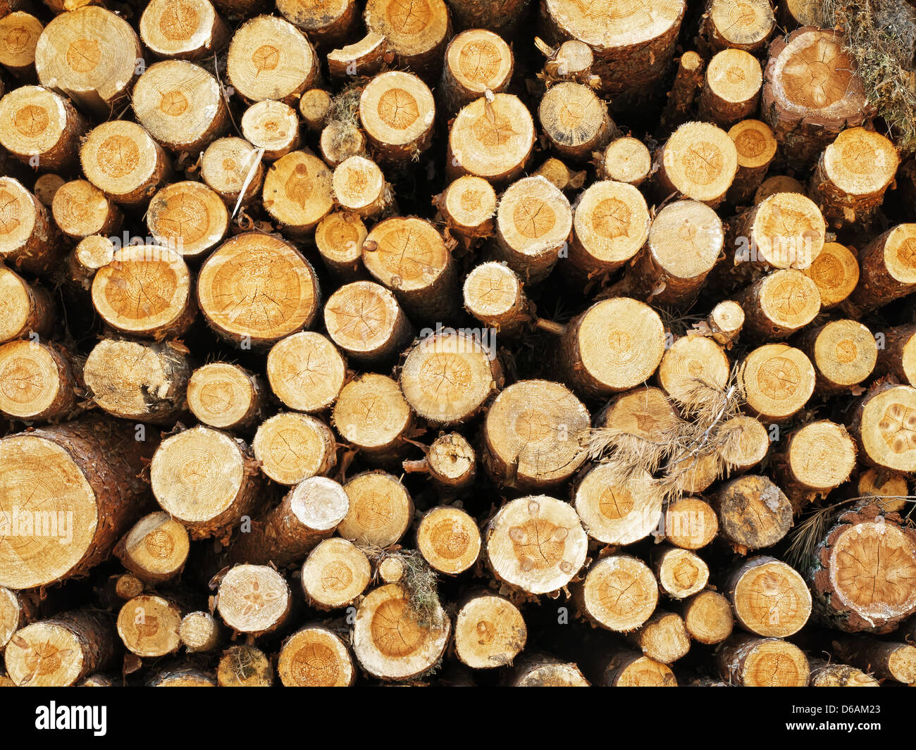 Supply cut out hi-res stock photography and images - Alamy