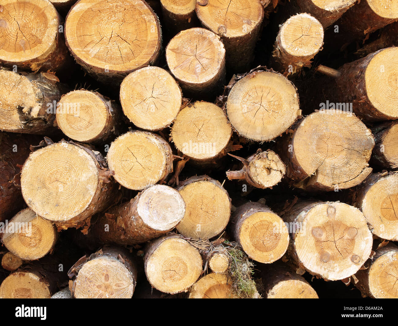 cut out logs Stock Photo - Alamy