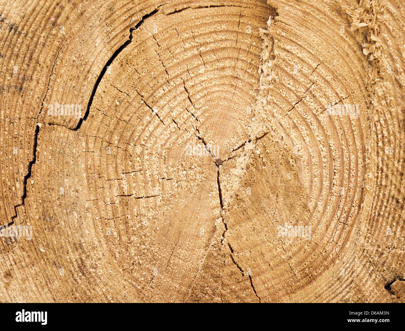 Log framework hi-res stock photography and images - Alamy