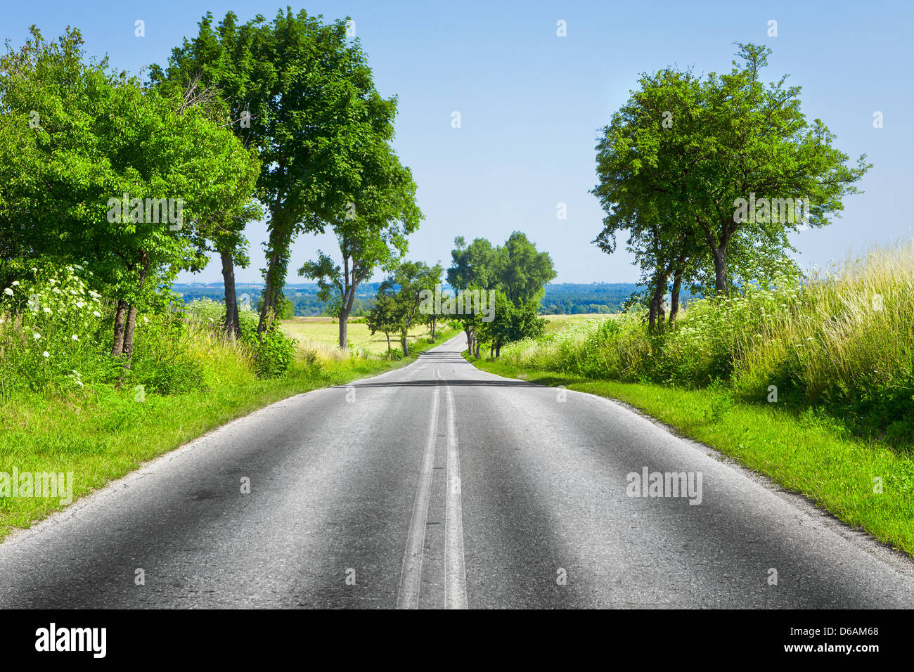 Road and green tree Stock Photo - Alamy