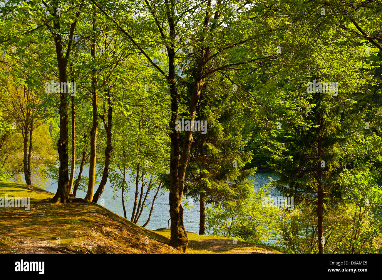 Lake wooded country hi-res stock photography and images - Alamy