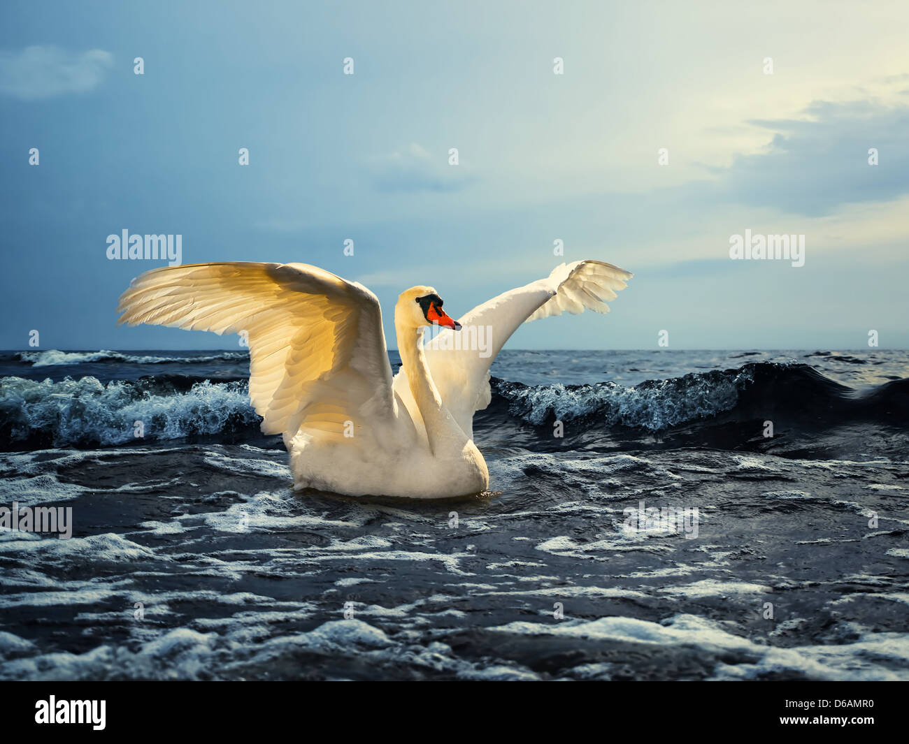 Cob wave hi-res stock photography and images - Alamy