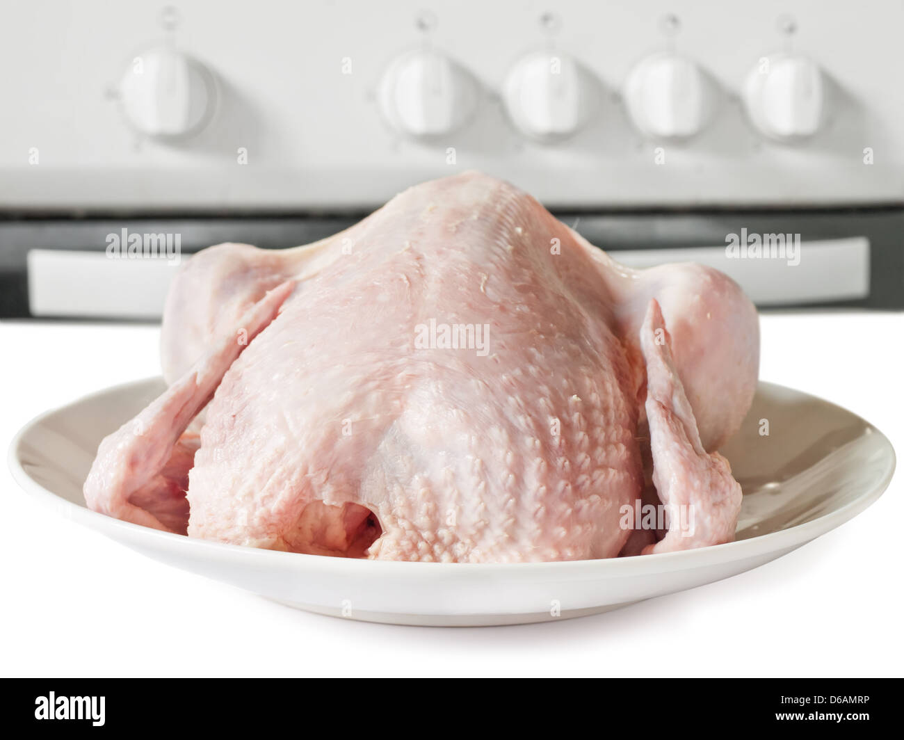 Broiler hen hi-res stock photography and images - Alamy