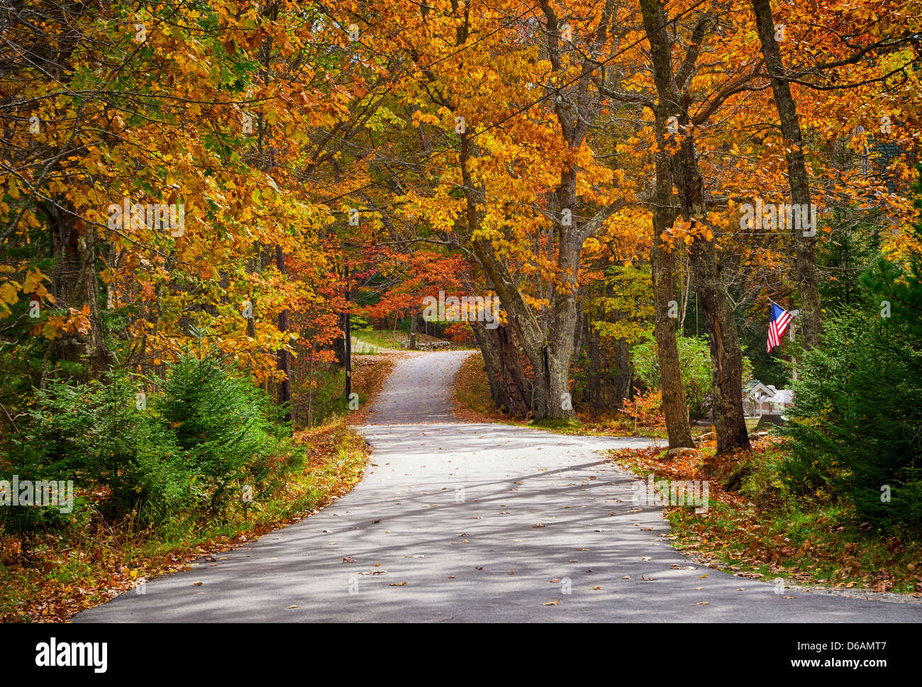 Winding road in fall hi-res stock photography and images - Alamy
