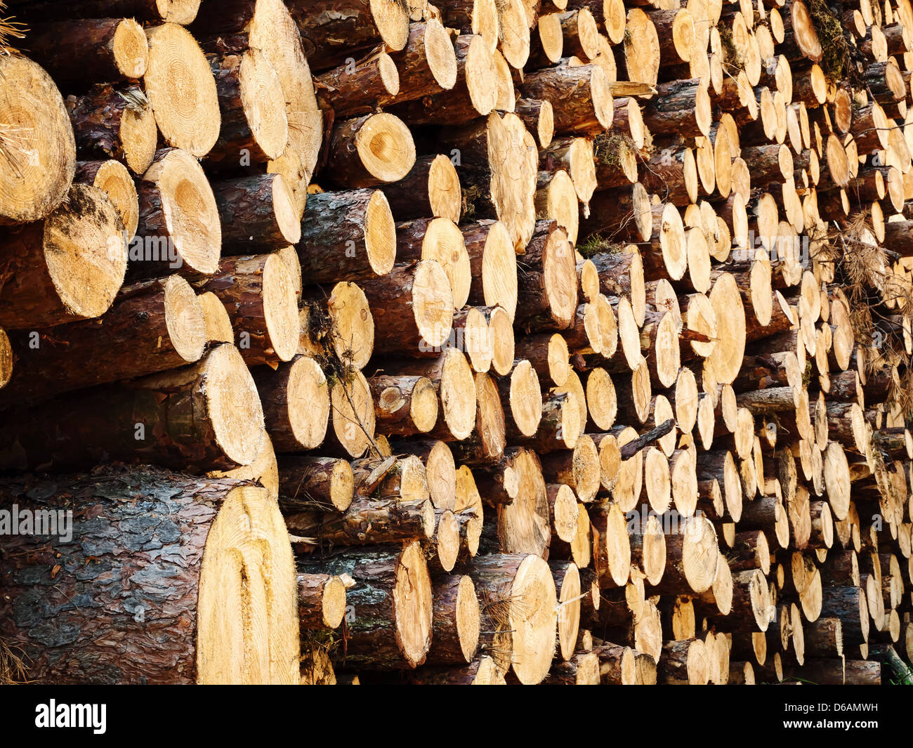 Supply cut out hi-res stock photography and images - Alamy