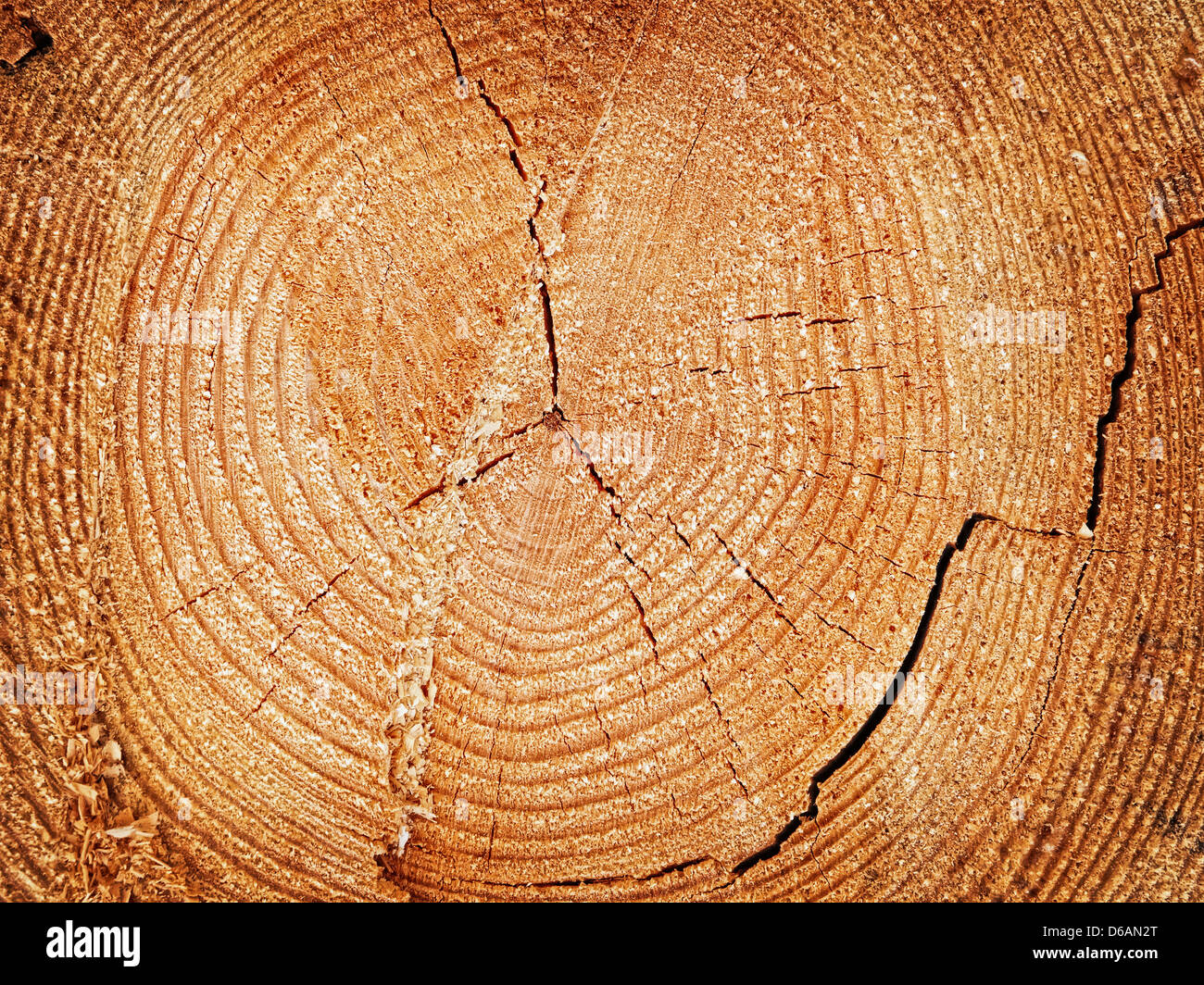 Log framework hi-res stock photography and images - Alamy