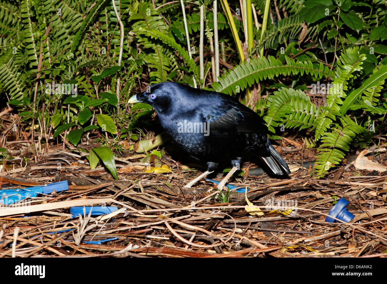 Blue objects hi-res stock photography and images - Alamy
