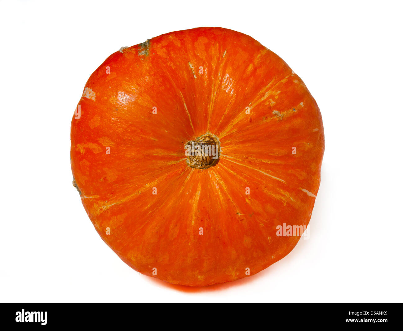 Pumpkin rind hi-res stock photography and images - Alamy