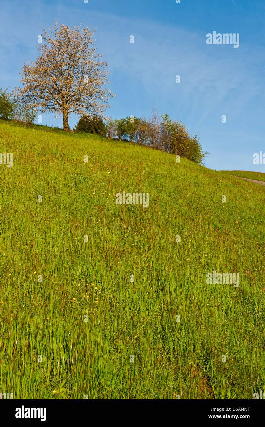 Farming in switzerland hi-res stock photography and images - Alamy