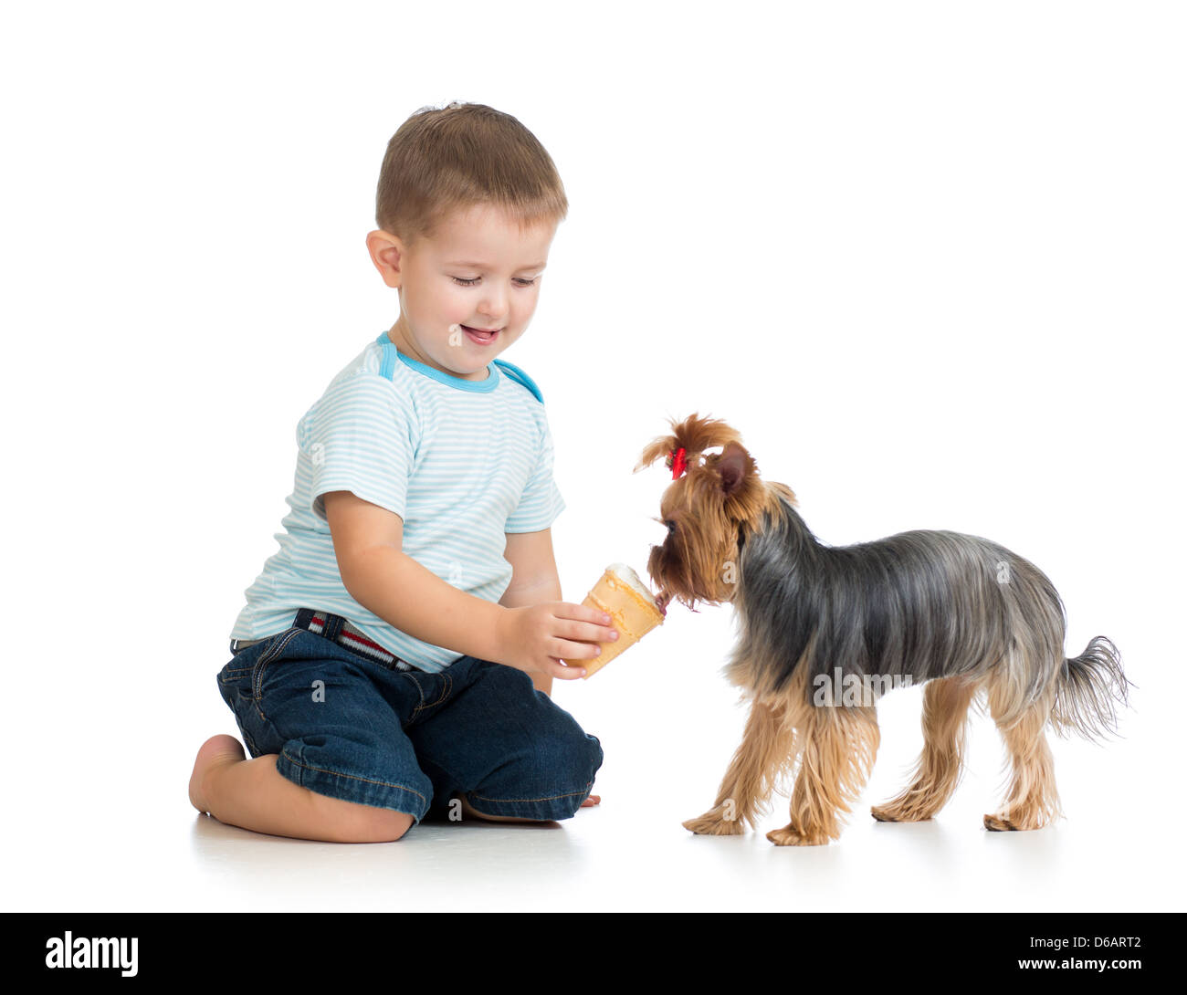 child feeding dog isolated on white Stock Photo - Alamy