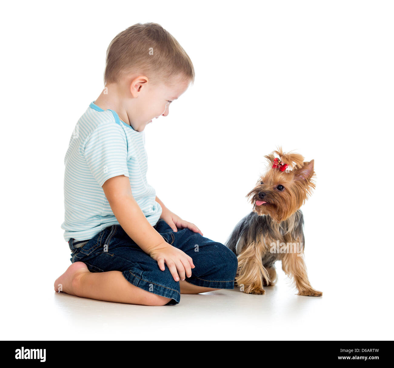 smiling child boy playing with a puppy dog isolated on white Stock ...