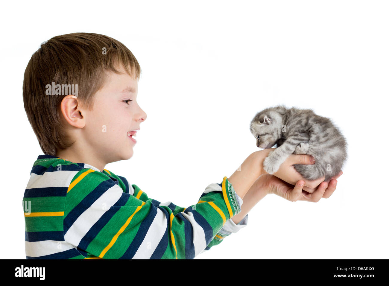 child boy holding cat kitten isolated on white background Stock Photo ...