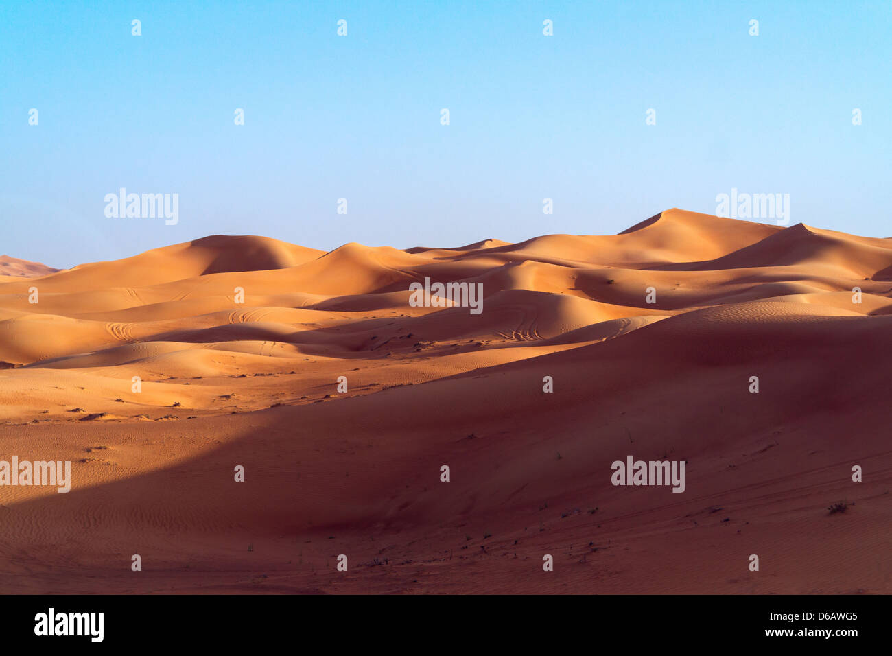 Arabian Desert Background