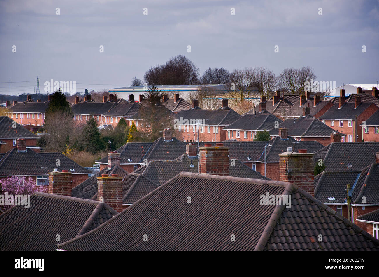 Council estate social housing local authority house Stock Photo - Alamy
