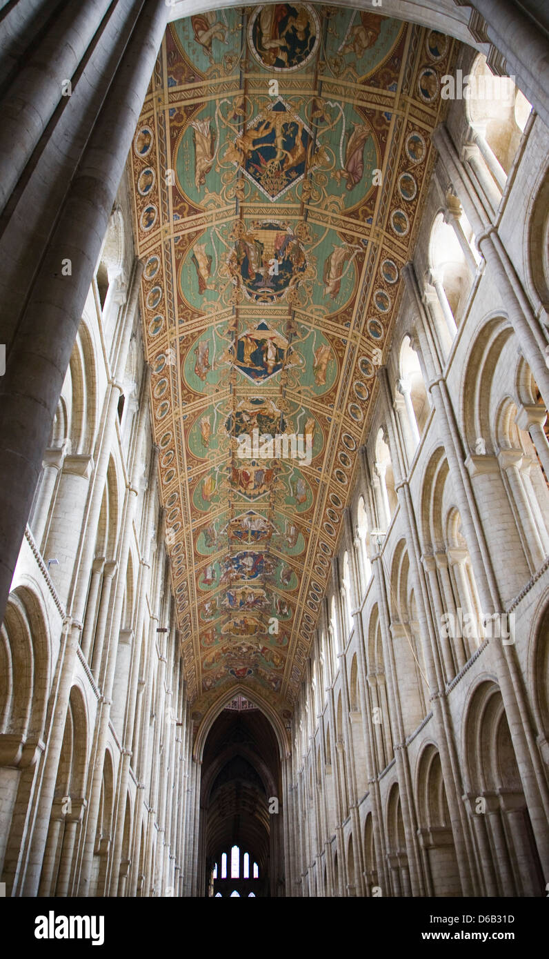 Ely cathedral ceiling hi-res stock photography and images - Alamy