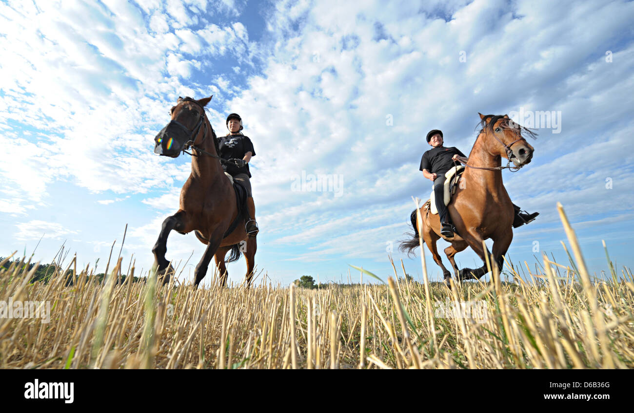 Equestrians gallop across a stubble field near Hummelsweiler, Germany ...