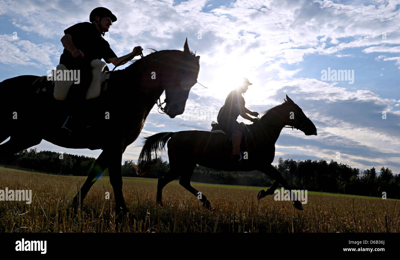 Equestrians gallop across a stubble field near Hummelsweiler, Germany ...