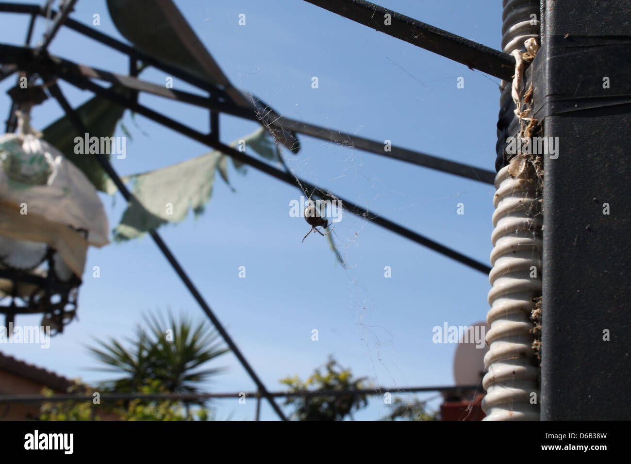 Spider Work High Resolution Stock Photography and Images - Alamy